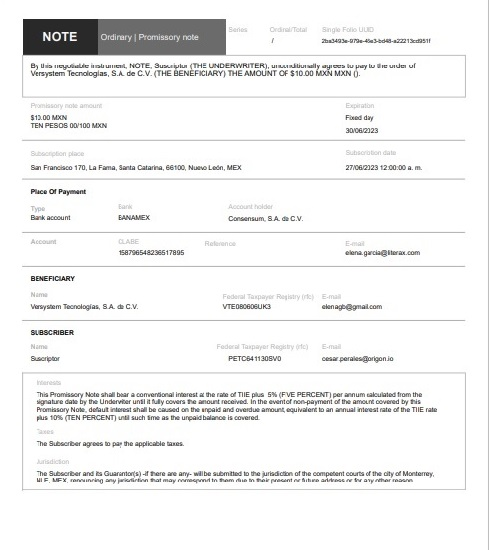 What is an Electronic Promissory Note? – Interfirma English